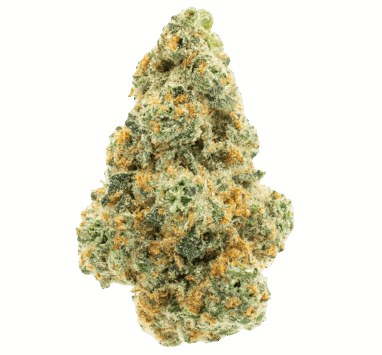 Tangilope THCA Flower - Buy Asheville Dispensary